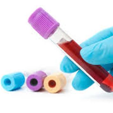 ELITE PHLEBOTOMY OHIO - Training Center, Course